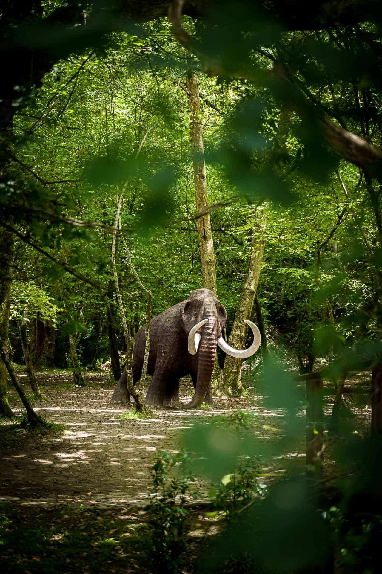 Parque paleolítico de la Cueva del Valle - Cantabria Oriental Rural